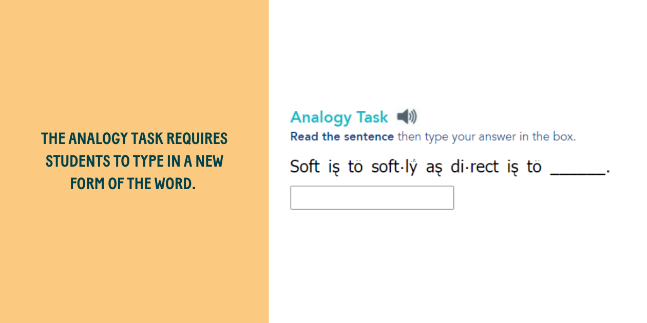 🌟 Feature Spotlight: The Vocab Module